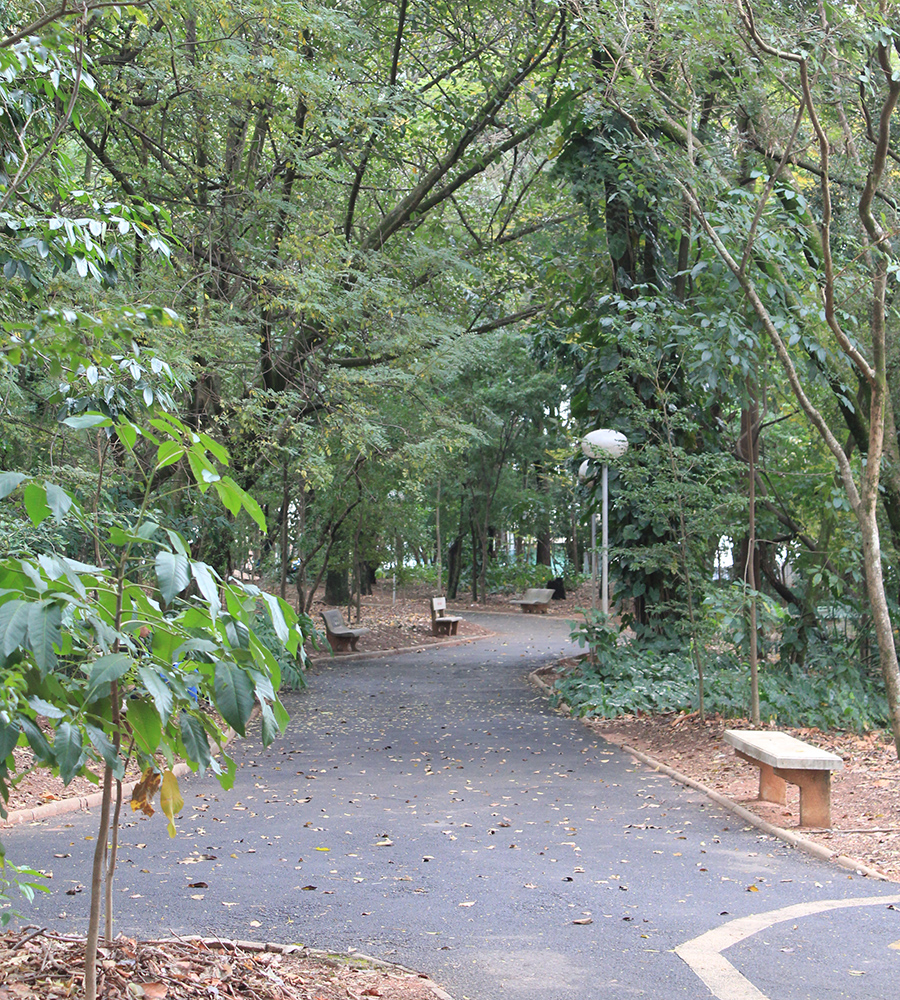 Conheça os parques urbanos de Bauru e outras opções de passeio ao ar ...
